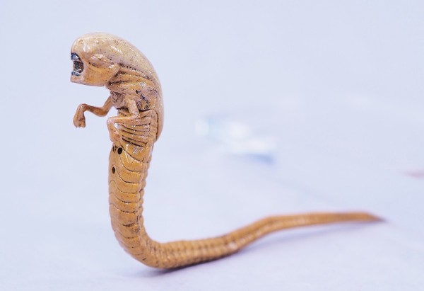 NECA エイリアン:ロムルス アクセサリーセット レビュー NECA エイリアン:ロムルス アクセサリーセット レビュー